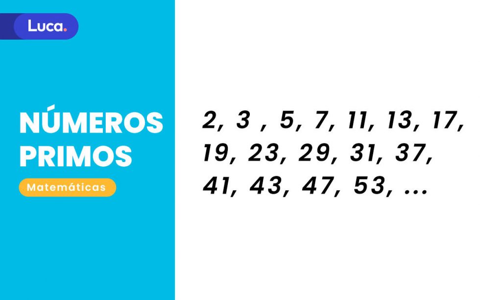 ¿Cuáles son los números primos? | Plataforma Educativa Luca