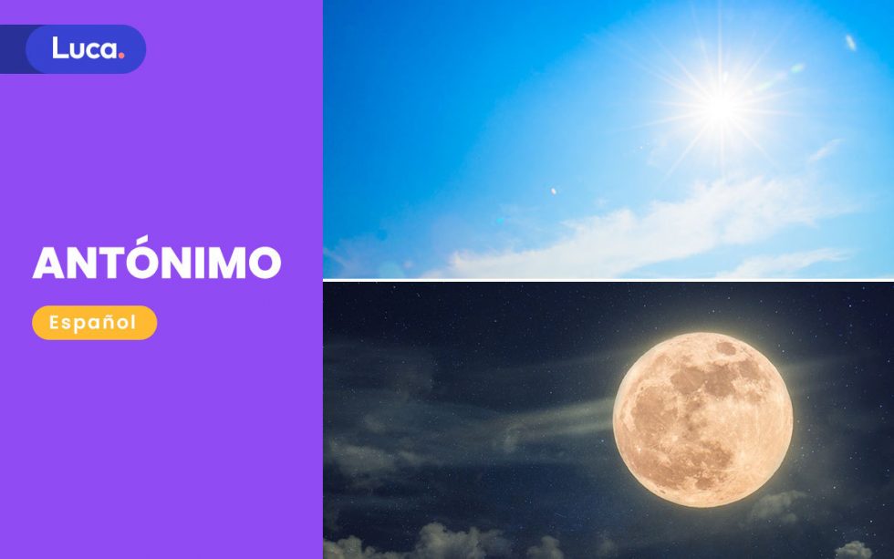 Antónimo, ¿Qué es y para qué sirve? | Plataforma Educativa Luca