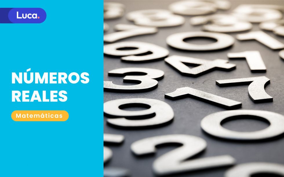 Cómo se clasifican los números reales | Plataforma Educativa Luca Cómo se clasifican los números reales | Plataforma Educativa Luca