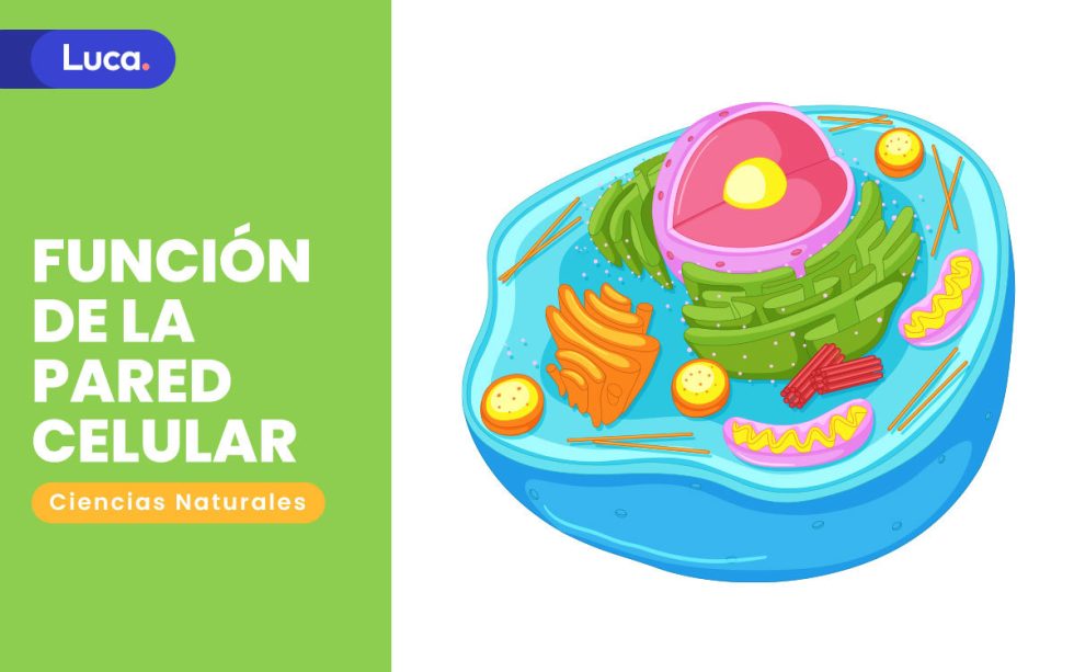 La célula: La estructura fundamental para los seres vivos | Plataforma ...